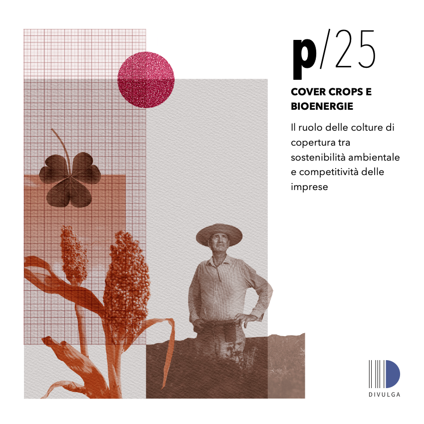 COVER CROPS E BIOENERGIE - DIVULGA